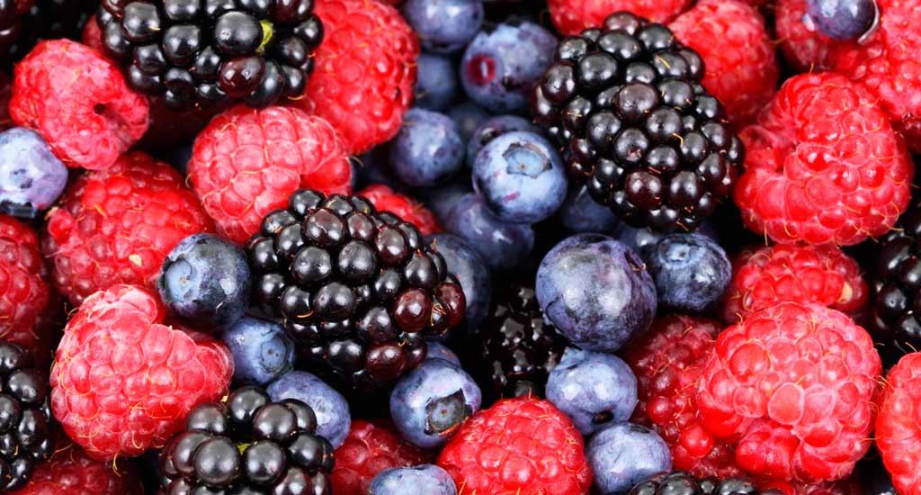 Customers who buy the Peruvian blueberry will be interested in the ...